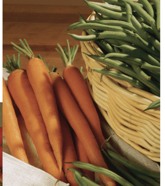 Planning the Vegetable Garden
